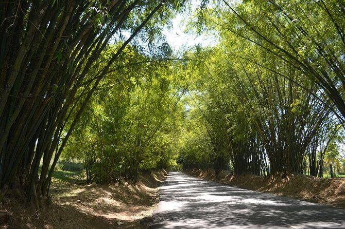 Full Day Trip to South Coast Jamaica from Kingston - An In-Depth Look at the Itinerary