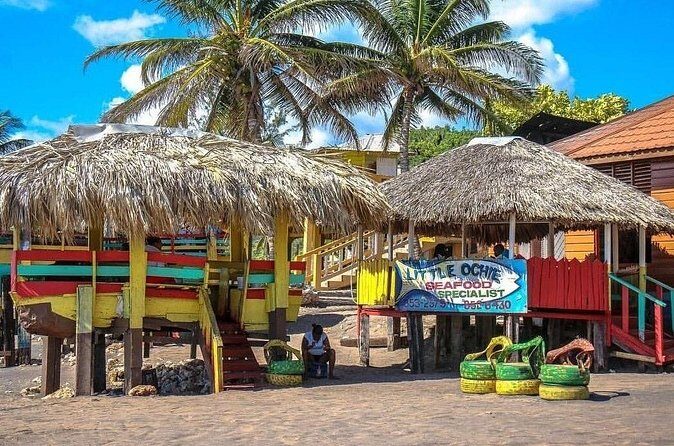 Full Day Trip to South Coast Jamaica from Kingston - The Sum Up