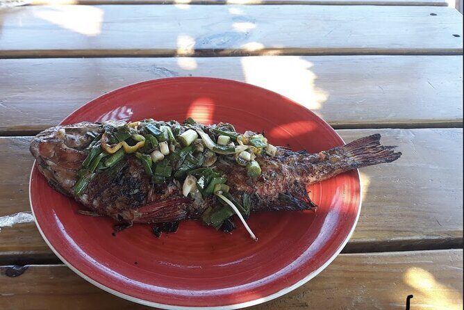 Full Day Trip to South Coast Jamaica from Kingston - FAQ