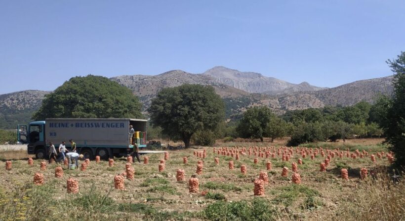 Full Day trip to Spinalonga and Lasithi Plateau Land of Zeus - Value and Practical Considerations
