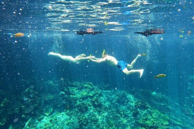 Full Day Tulum Paradise Beach - Practical Details: What You Should Know