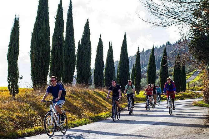 Full-Day Tuscan Countryside Bike Tour - Customer Reviews and Feedback