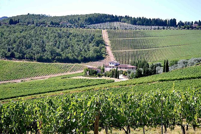Full-Day Tuscany Castles Tour With Wine Tasting From Florence - Guide Profiles and Expertise