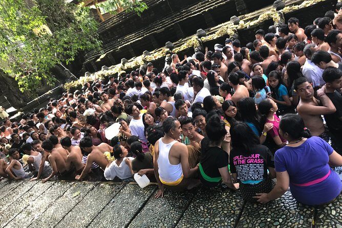 Full Day Ubud and Kintamani Tour - Value and Practical Considerations