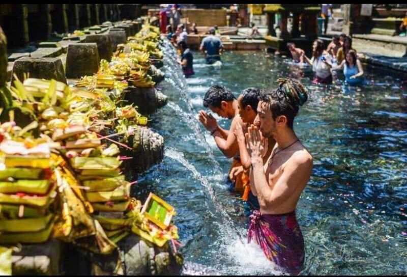 Full-Day Ubud Tours All Inclusive - Why This Tour Provides Great Value