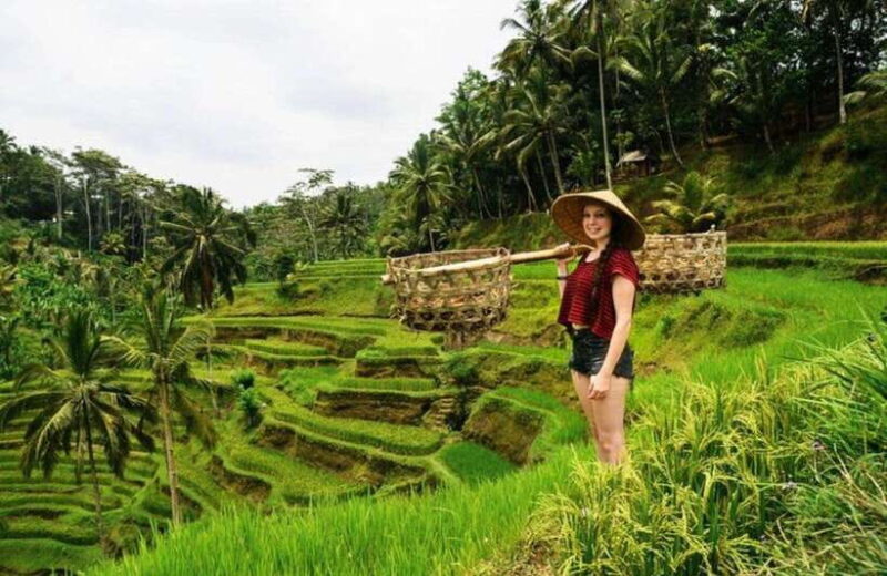 Full-Day Ubud Tours All Inclusive - Practical Tips for Your Bali Day Tour