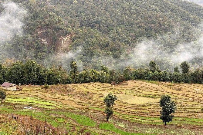 Full Day Unlimited Landscape Visit Tour in Private Car - FAQ