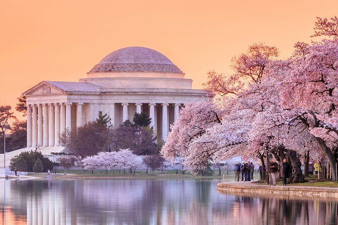 Full Day US Capitol Visit with Cherry Blossom & Potomac Cruise - Final Thoughts: Who Should Sign Up?