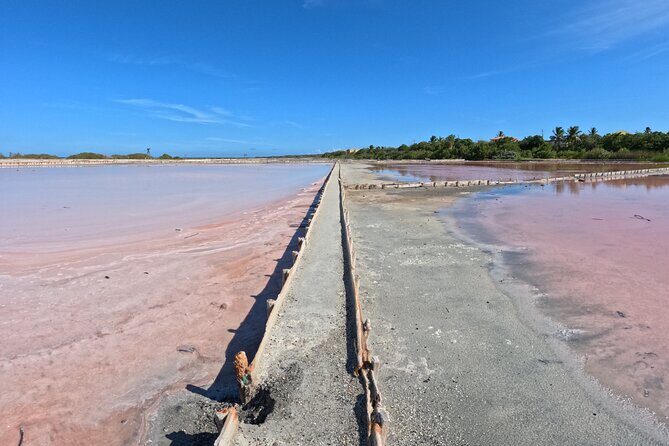 Full Day Vamos Pa la Isla Southwest Experience - The Value and Practicality of the Tour