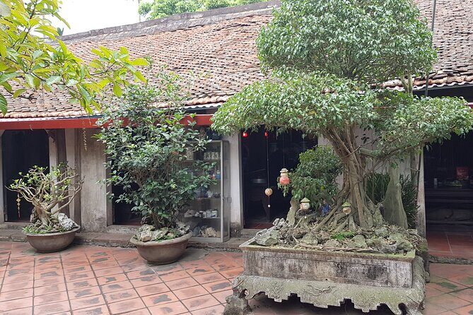 Full-Day Van Giang Village Trip from Hanoi with Cooking Class - Who Will Love This Tour?