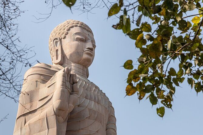 Full Day Varanasi City Tour with Sarnath and Evening Ganga Aarti - An In-Depth Look at the Tour