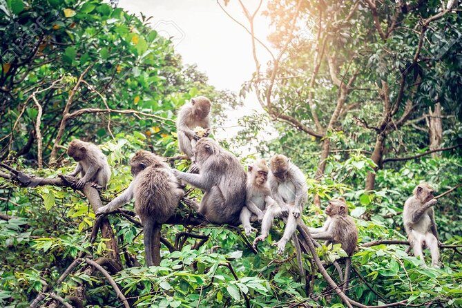 Full Day: Visit UBUD VILLAGE and Around - Famous Sightseeing Tours in Bali - In-Depth Look at the Itinerary