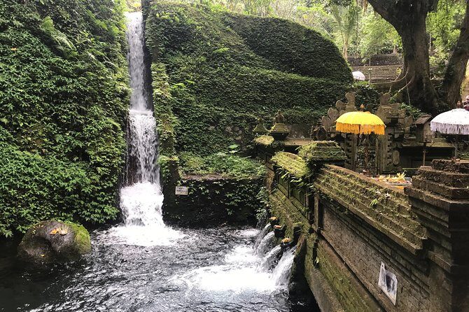 Full Day Volcano, Waterfalls, Rice terraces and Temple Tours - Bali Pulina Coffee Plantation