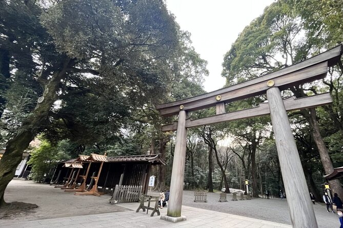 Full Day Walking Tour in Shinjuku and Shibuya - Meeting and End Points