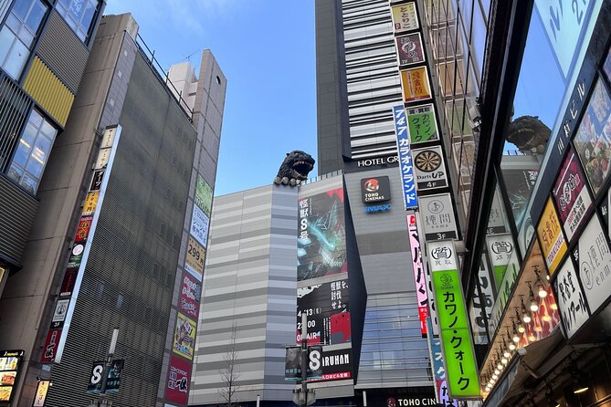 Full Day Walking Tour in Shinjuku and Shibuya - Additional Considerations