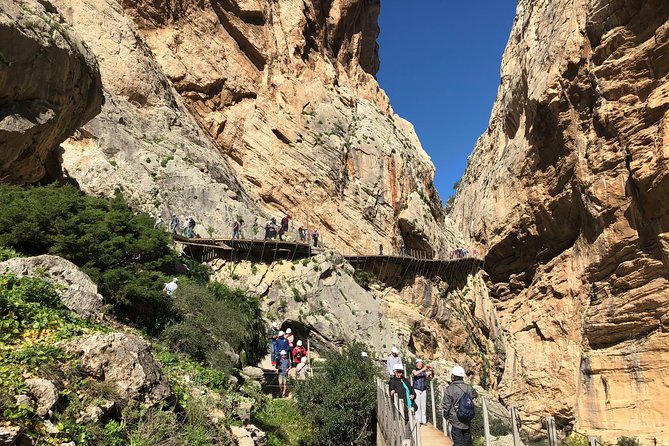 Full Day Walking Tour to Caminito del Rey - The Value of This Tour