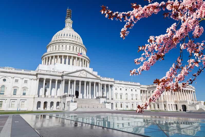 Full Day Washington DC & Mount Vernon Tour - A Deep Dive into the Experience