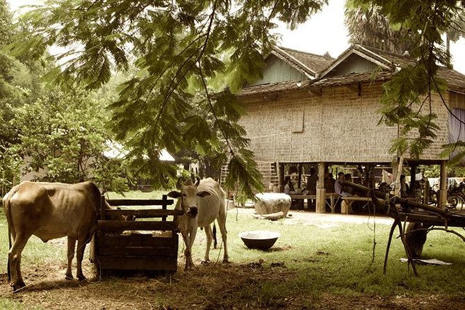 Full-day: Wat Banan. Old bamboo train. Bat Cave. Killing cave - The Practicalities and Value