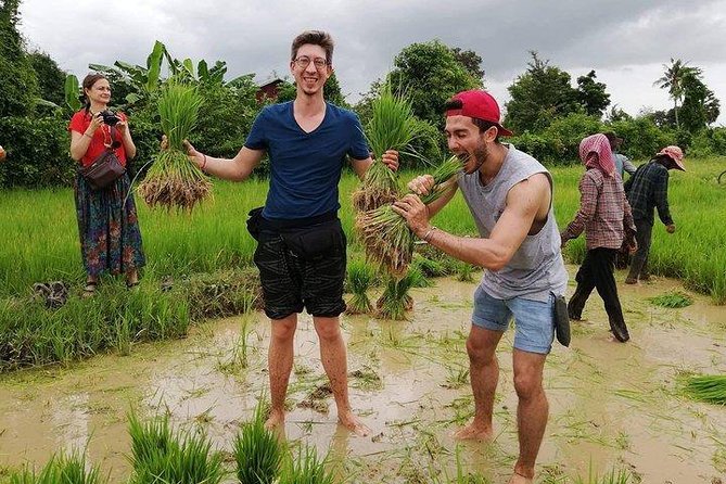 Full-day: Wat Banan. Old bamboo train. Bat Cave. Killing cave - Authenticity and Reviews