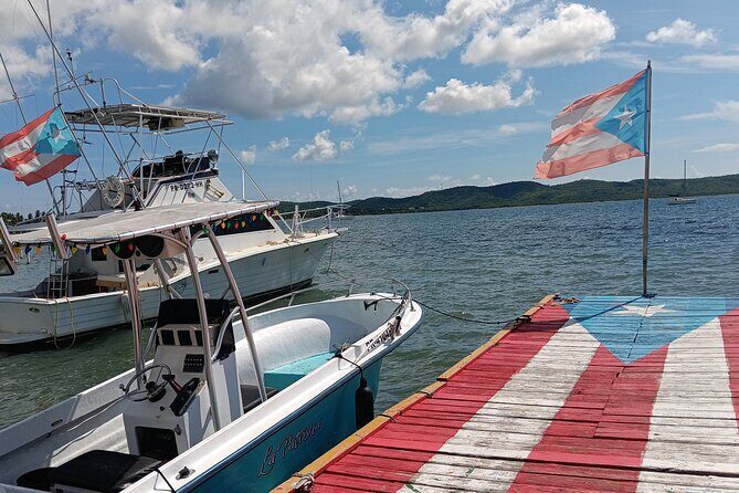 Full Day West Coast Adventure in Puerto Rico - Starting with the Highlights: Scenic Viewpoints