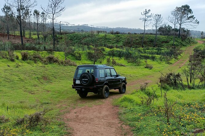 Full Day West Tour to Porto Moniz Pools and Fanal Forest - Key Points