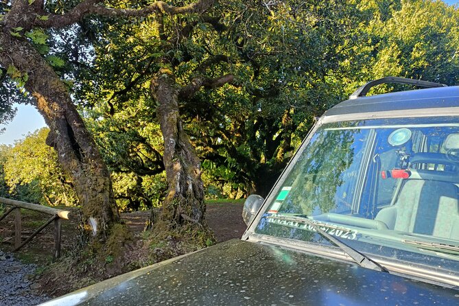 Full Day West Tour to Porto Moniz Pools and Fanal Forest - Exploring Porto Moniz Pools