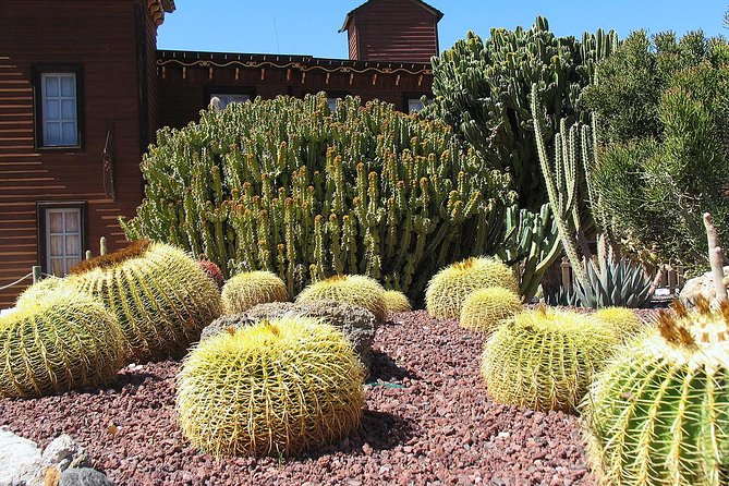 Full-Day Western Theme Park Tour of Mini Hollywood - Oasys - Guest Reviews