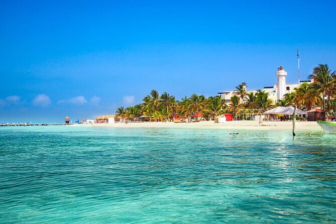Full-Day Whale Shark Snorkeling Adventure with Beach Lunch - An In-Depth Look at the Tour