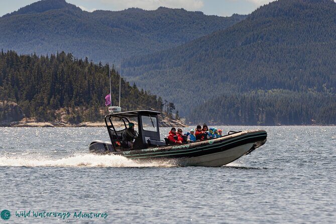 Full Day Whale Watching Campbell River - A Closer Look at the Experience