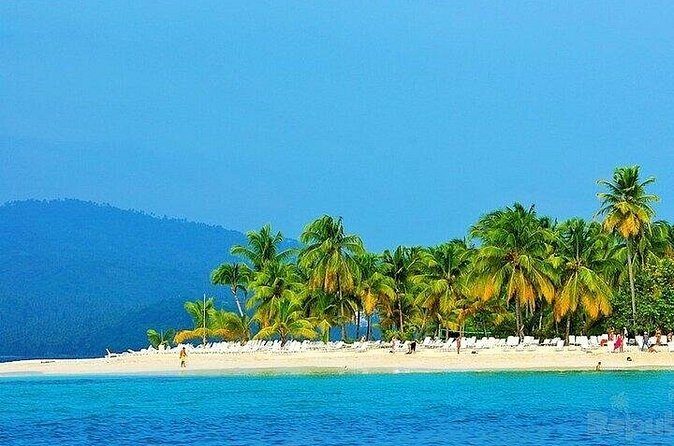 Full-day Whale watching Tour in Samana Bay from Punta Cana - Who Should Consider This Tour?