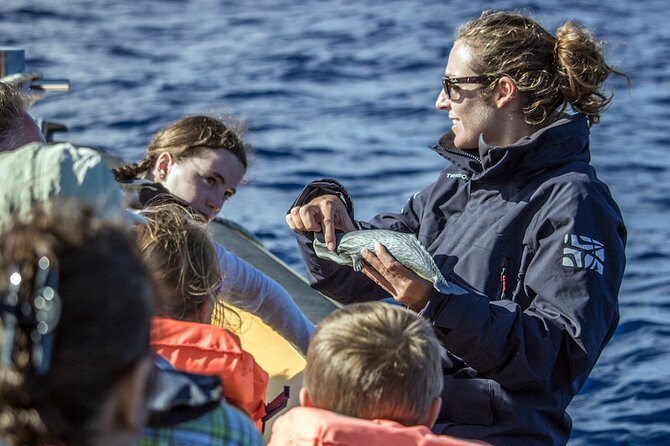 Full-Day Whales & The Princess Ring Islet Review - Health and Safety Guidelines