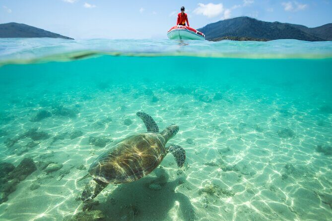 Full-Day Whitsunday Sail and Snorkel Adventure with Lunch - The Sum Up: Is This Tour Worth It?
