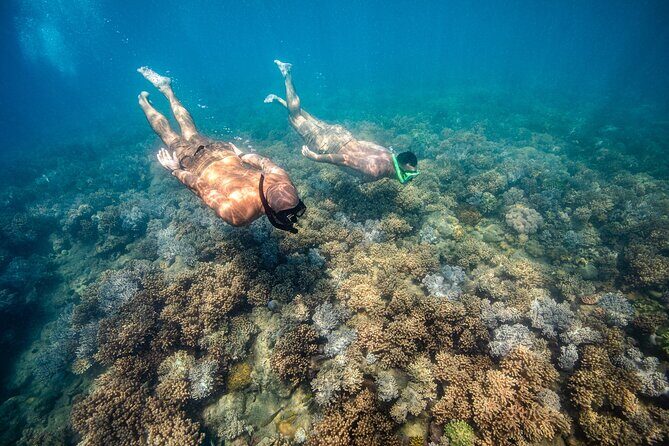 Full-Day Whitsunday Sail and Snorkel Adventure with Lunch - FAQ