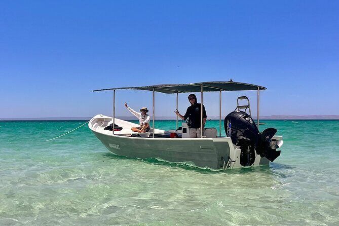Full Day Wildlife Expedition in the Sea of Cortez - FAQ