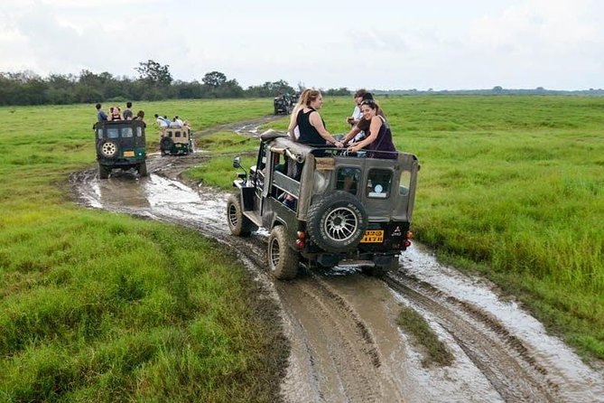 Full Day Wilpaththu National Park Safari (All Inclusive) - Introduction: A Full-Day Adventure in Wilpattu National Park
