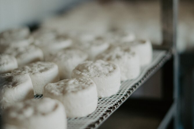 Full-Day Wine and Cheese Tour Around Aix-En-Provence From Marseille - Transportation and Logistics