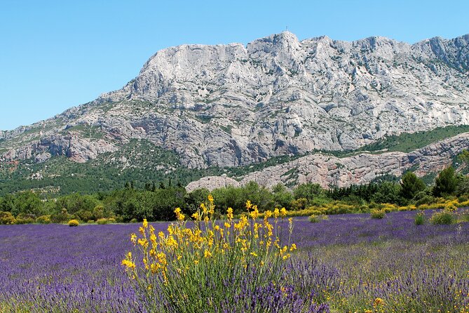 Full-Day Wine and Cheese Tour Around Aix-En-Provence From Marseille - Inclusions and Exclusions