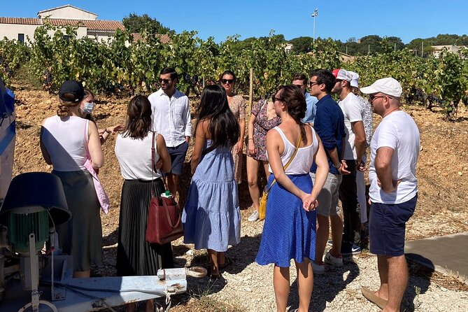 Full-Day Wine and Cheese Tour Around Aix-En-Provence From Marseille - Guest Feedback and Experiences