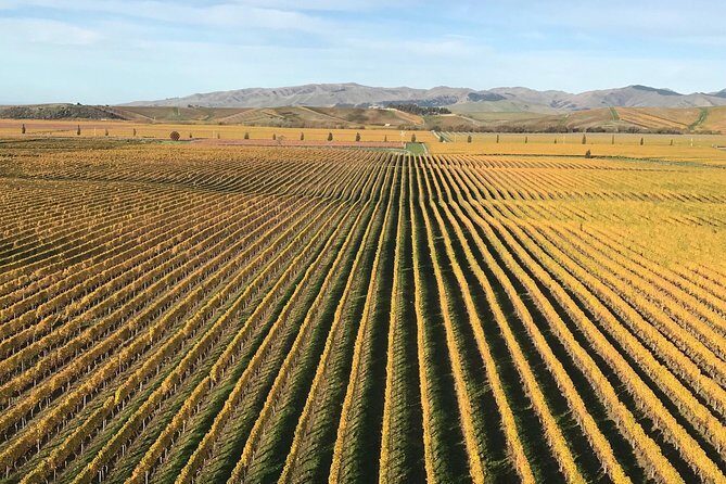 Full-Day Wine Gourmet and Scenic Delight Tour of Marlborough from Blenheim - Authentic Experiences and Genuine Praise