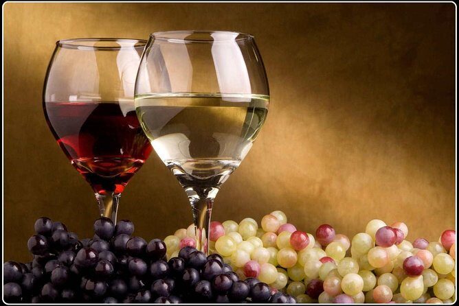 Full-Day Wine Gourmet and Scenic Delight Tour of Marlborough from Picton - An In-Depth Look at the Tour Experience