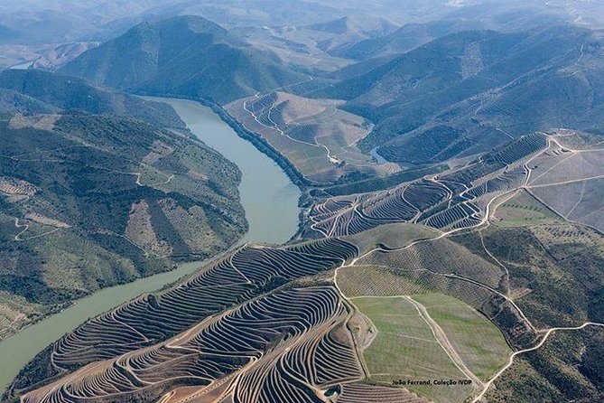 Full Day, Wine Tasting, River Cruise and Lunch From Porto - Inclusions
