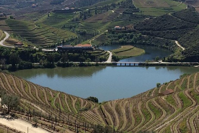 Full Day, Wine Tasting, River Cruise and Lunch From Porto - Exploring the Douro Region