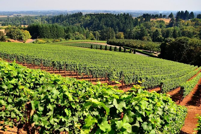 Full-Day Wine Tasting Tour in Athens with Visit to Cape Sounio - FAQ