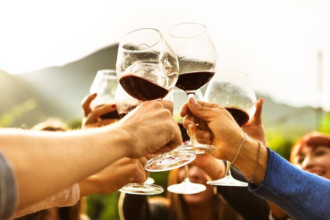 Full-Day Wine Tasting Tour in Auckland with 3-Course Vineyard Lunch - Final Thoughts: Is This Tour for You?