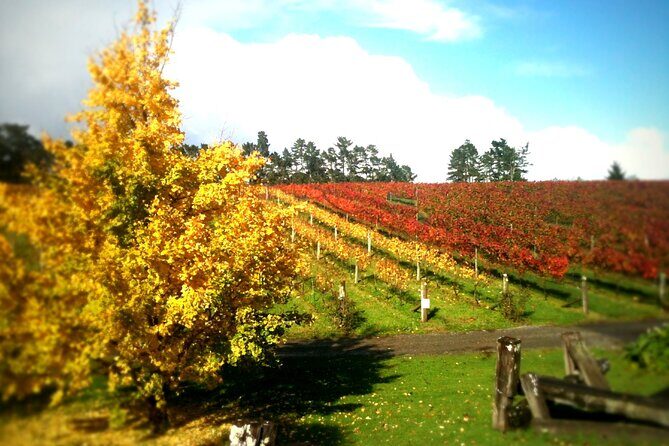 Full-Day Wine Tasting Tour in Auckland with 3-Course Vineyard Lunch - FAQ