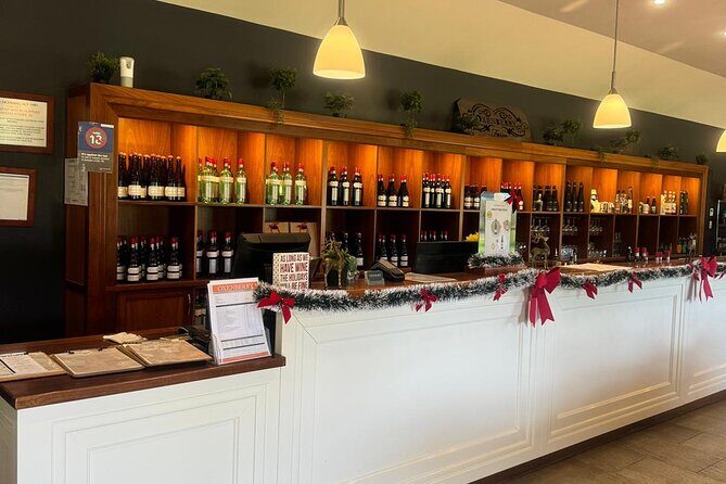 Full Day Wine Tasting Tour in McLaren Vale - Who Should Consider This Tour?