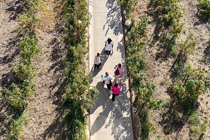 Full Day Wine Tasting Tour in McLaren Vale - Final Thoughts