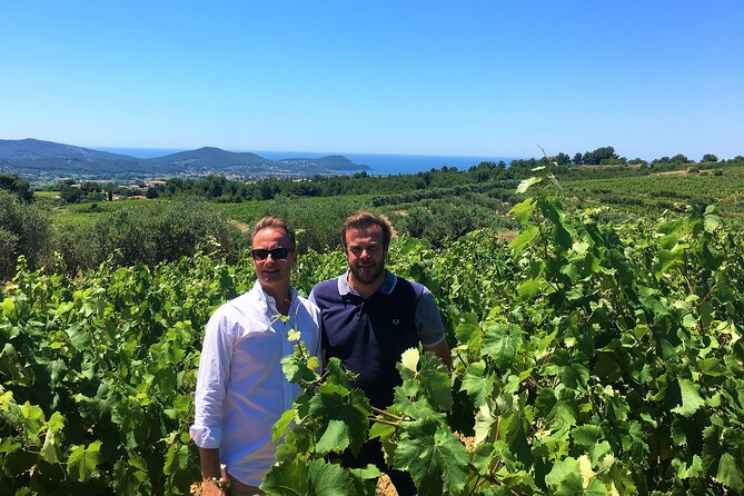 Full-Day Wine Tour Around Bandol & Cassis From Marseille - Discover the Terroir and Winemaking Process
