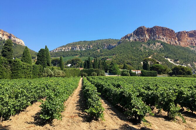 Full-Day Wine Tour Around Bandol & Cassis From Marseille - Enjoy the Scenic Views and Free Time in Cassis