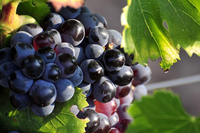 Full Day Wine Tour Around Luberon From Aix En Provence - Discovering the Regions Charm